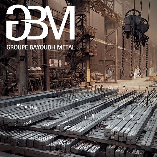 GBM GROUP - Pixel Pro Agency