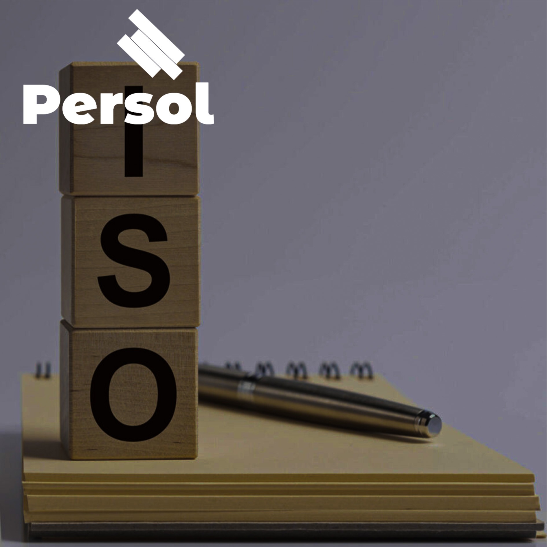 PERSOL - Pixel Pro Agency